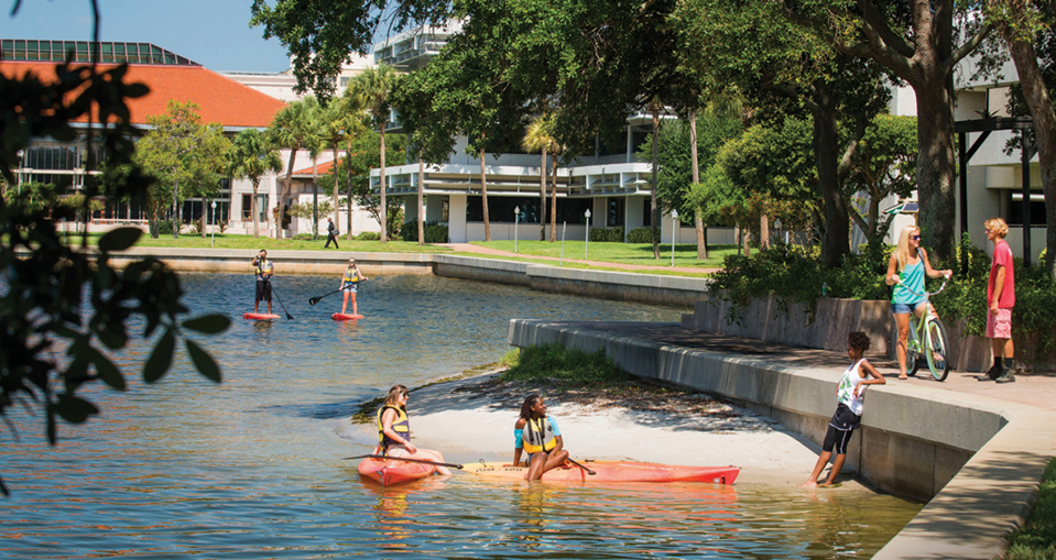 Admissions USF St Petersburg Campus Admissions USF St Petersburg Campus